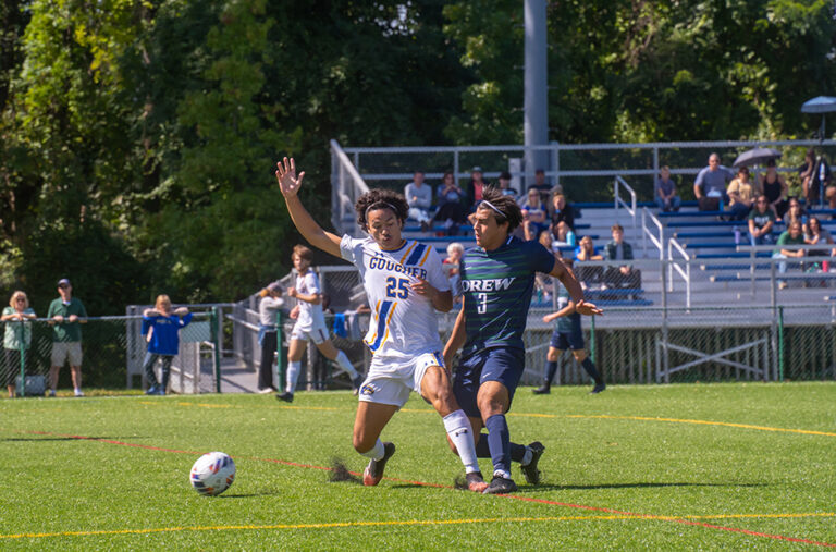 Open Space Framework – Goucher College Campus Master Plan